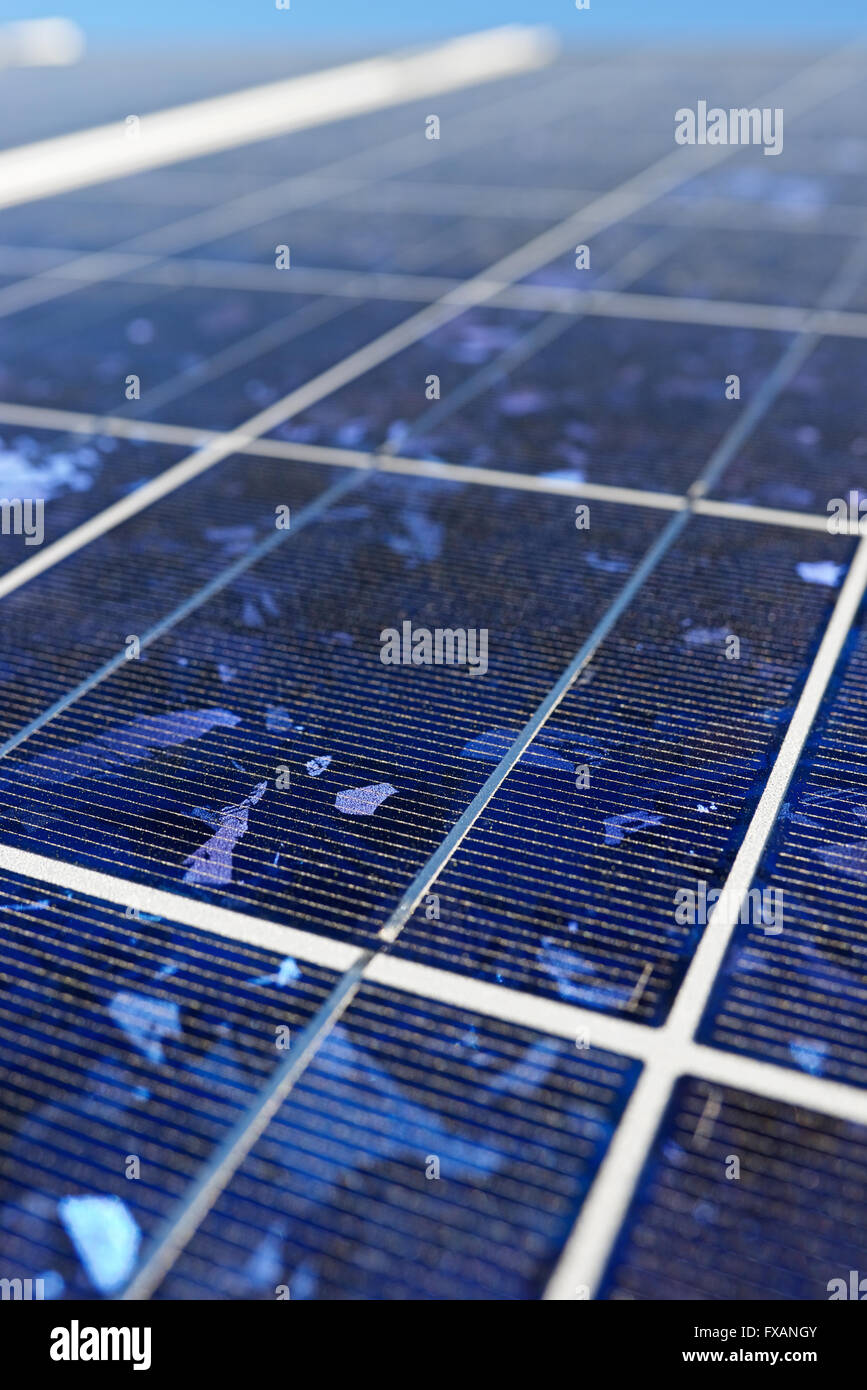 detail of a photovoltaic panel for renewable electric production Stock ...