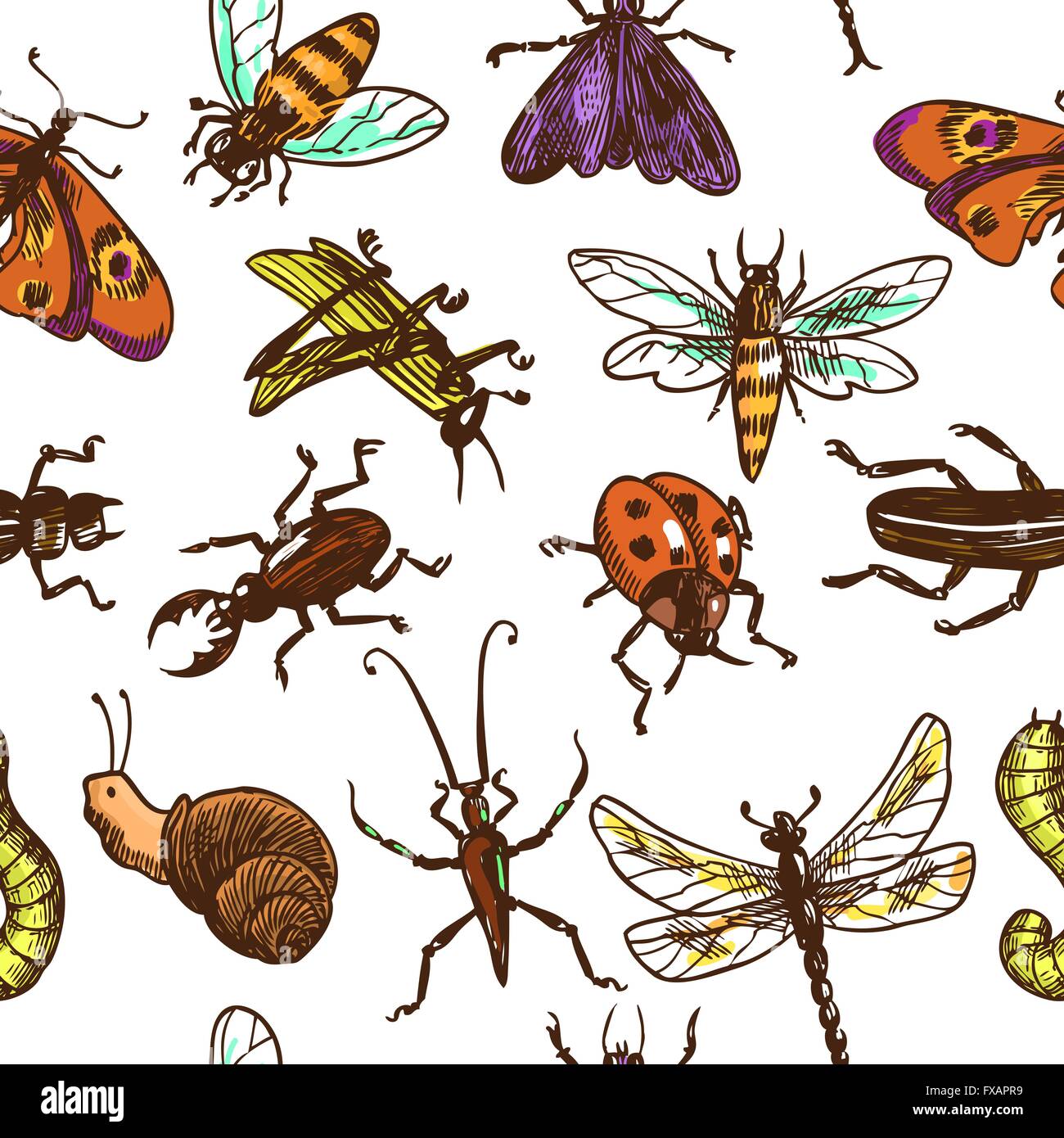Insects sketch seamless pattern color Stock Vector Image & Art - Alamy
