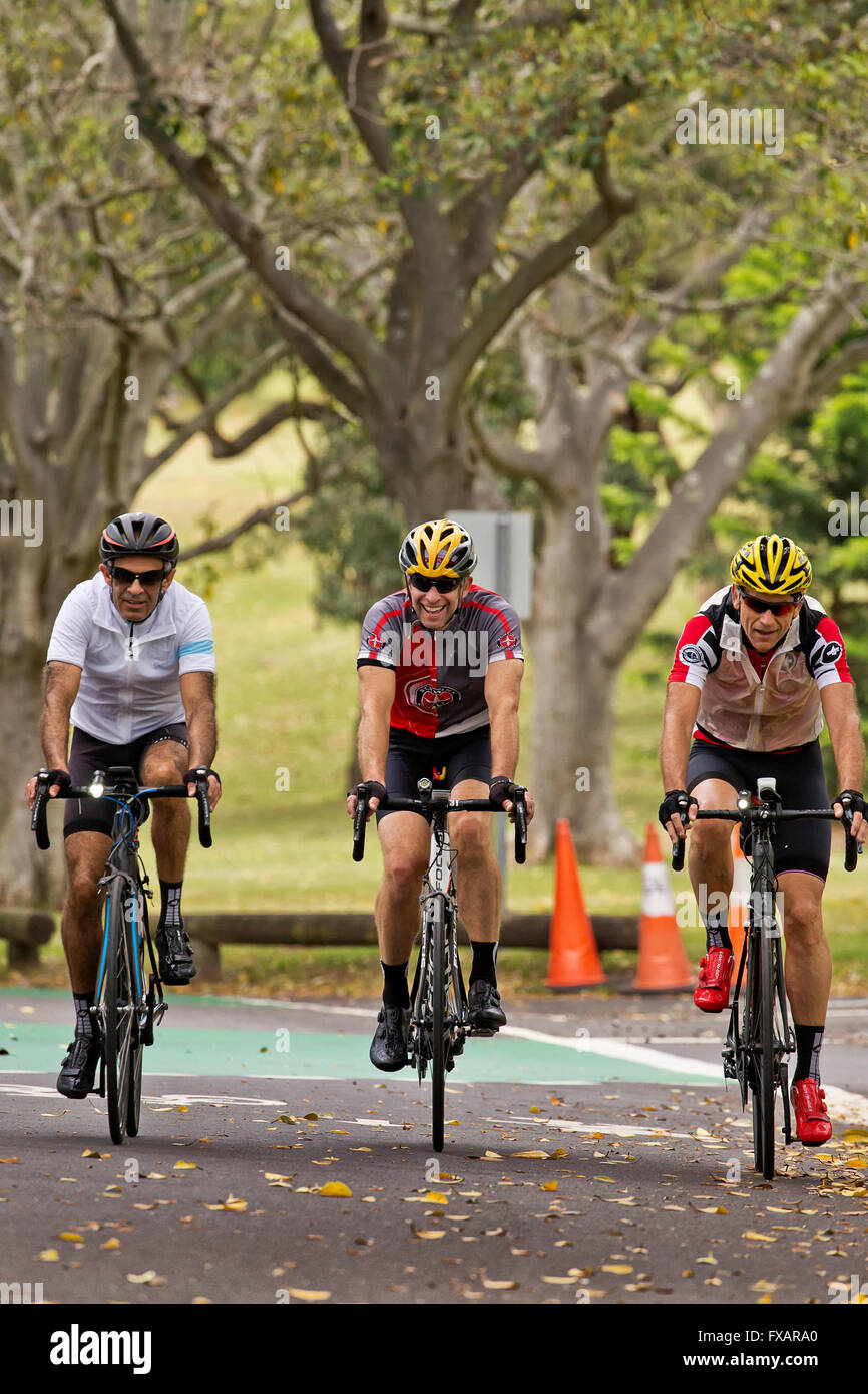 Cyclists ride bicycles through Centennial Park, Sydney Stock Photo - Alamy