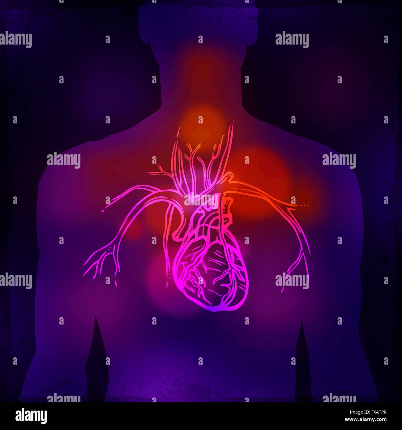 Human Heart X-ray Stock Vector Image & Art - Alamy