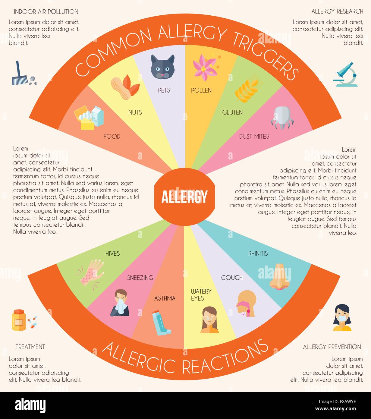 Allergy Infographics Set Stock Vector Image & Art - Alamy