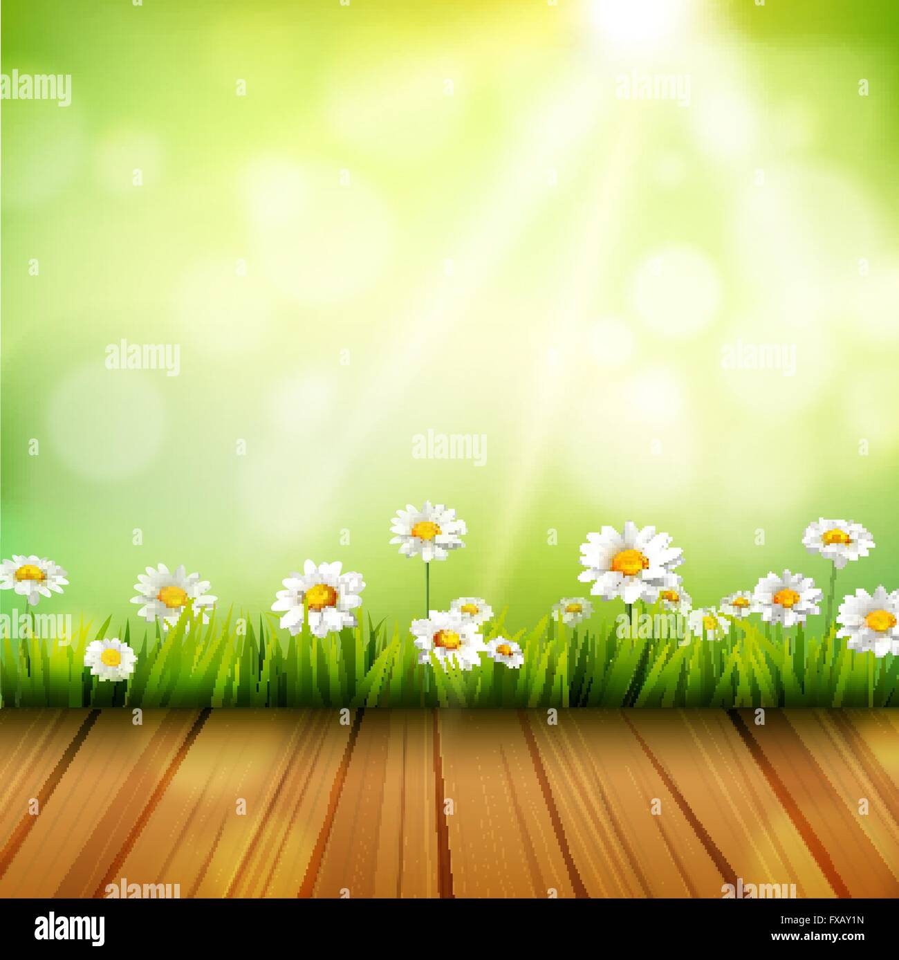Spring Background With Daisies Stock Vector Image & Art - Alamy