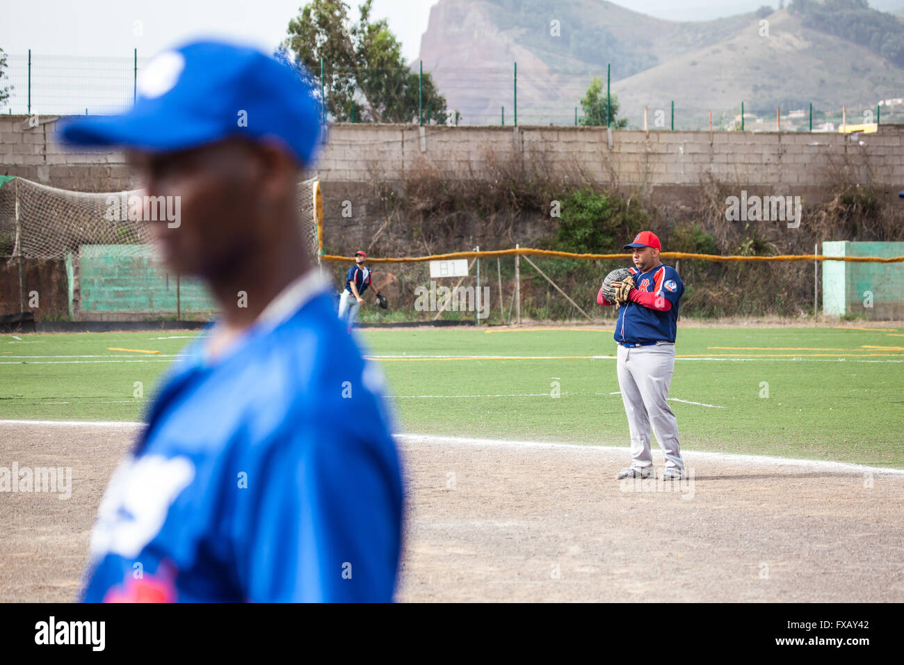 male versus male softball match Stock Photo - Alamy