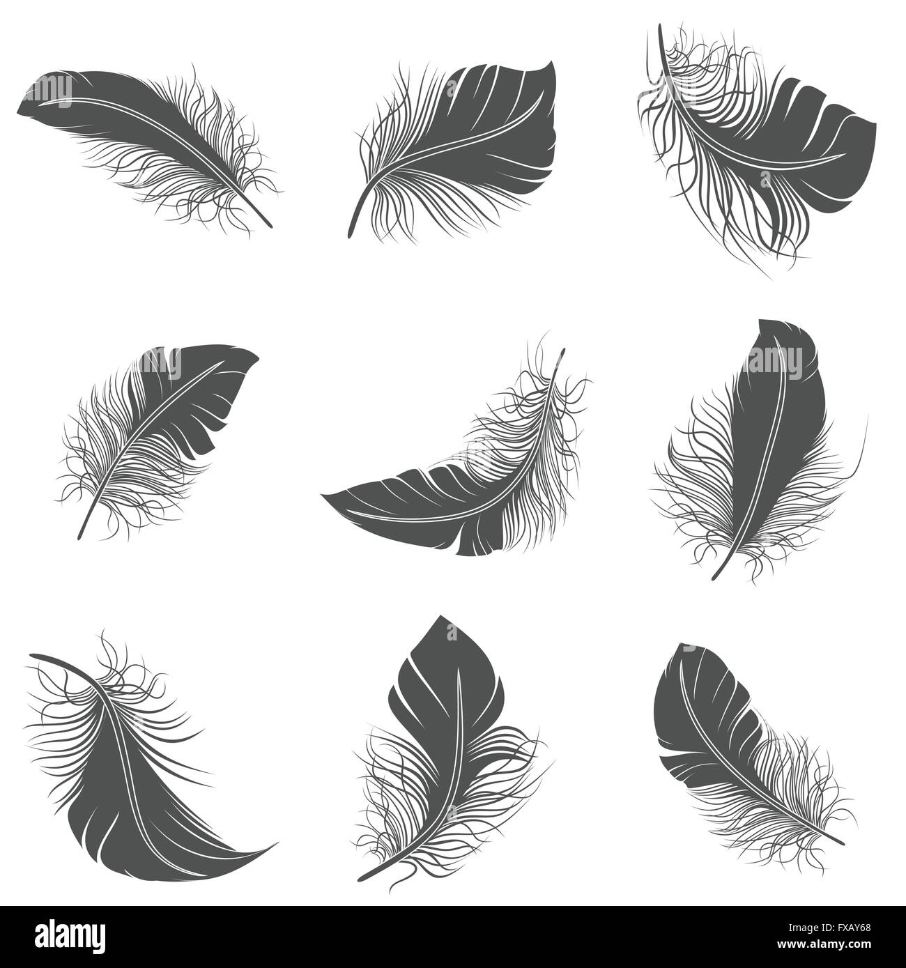 Feather Black Set Stock Vector Image & Art - Alamy