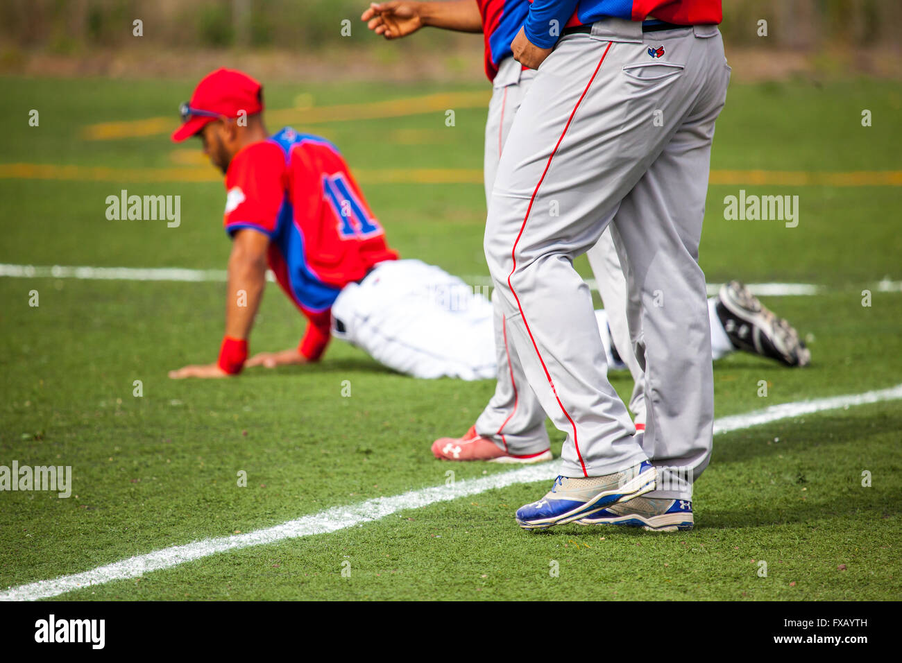 male versus male softball match Stock Photo - Alamy