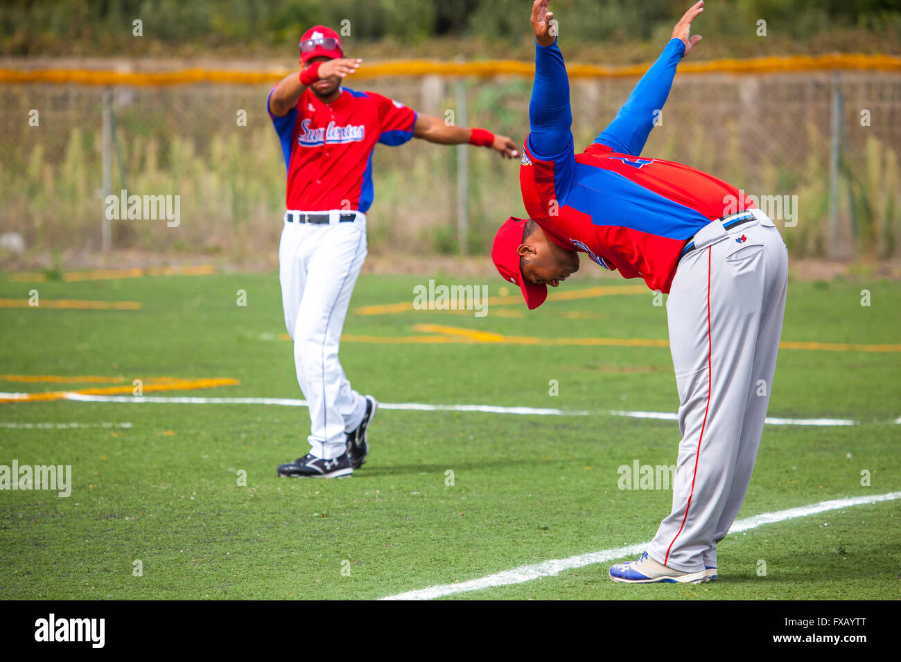 male versus male softball match Stock Photo - Alamy