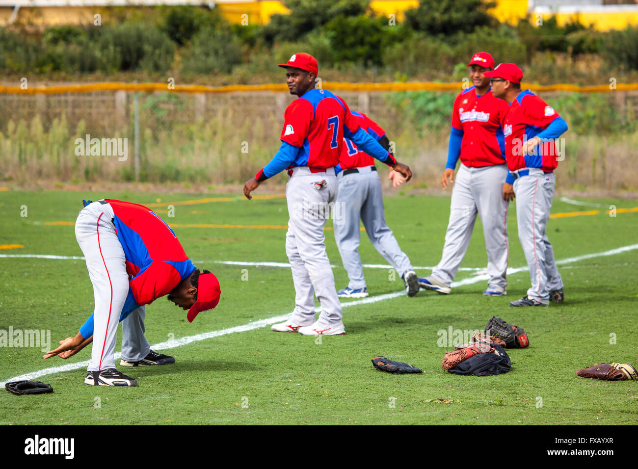 male versus male softball match Stock Photo - Alamy
