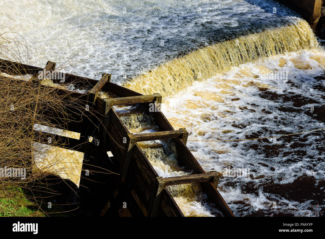 Wooden fish ladder with flowing water beside a reservoir overflow. This ...