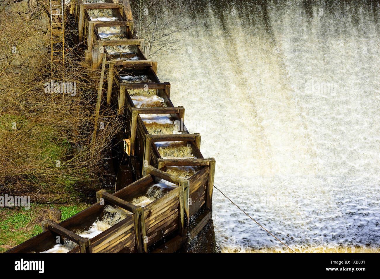 Wooden fish ladder with flowing water beside a reservoir overflow. This ...