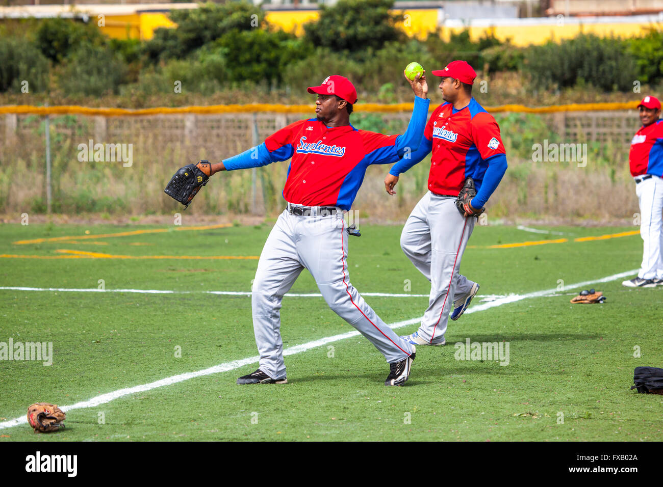 male versus male softball match Stock Photo - Alamy