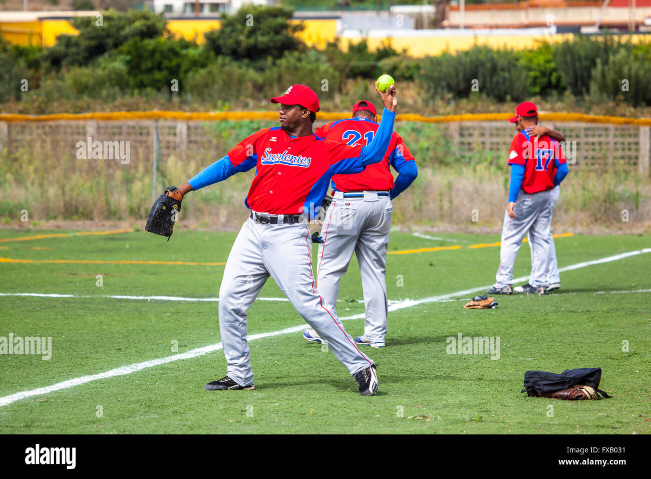 male versus male softball match Stock Photo - Alamy