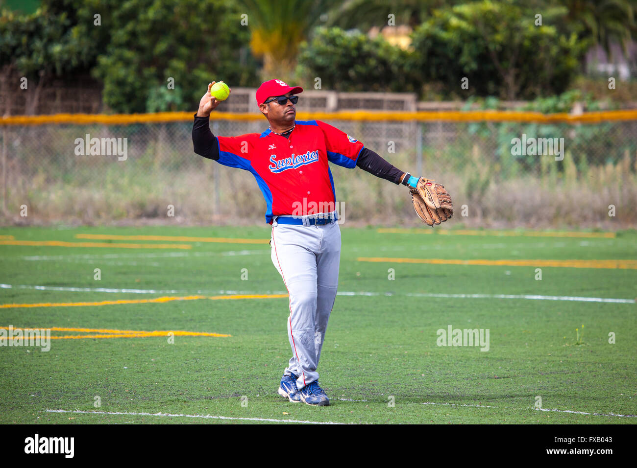 male versus male softball match Stock Photo - Alamy