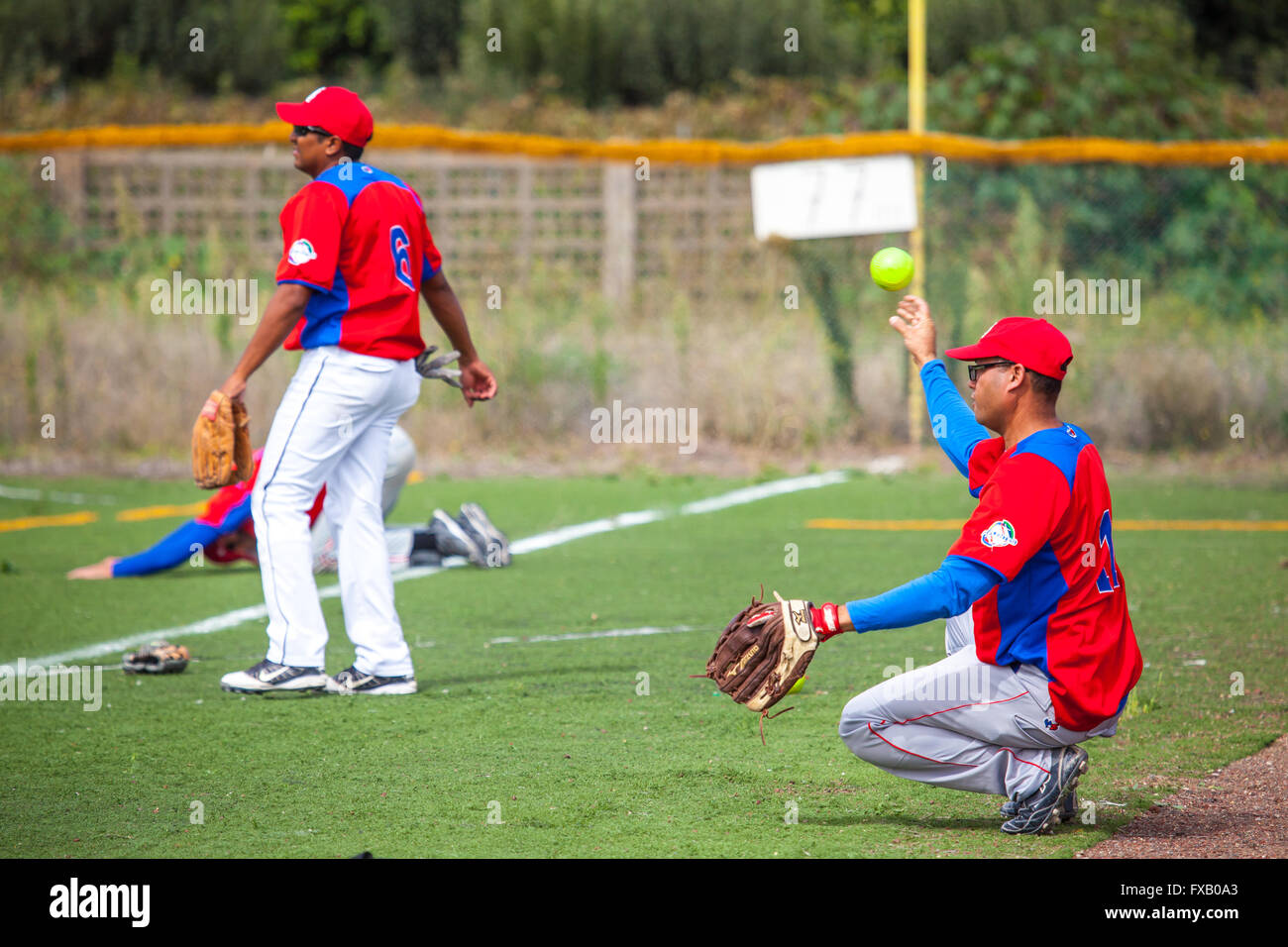 male versus male softball match Stock Photo - Alamy