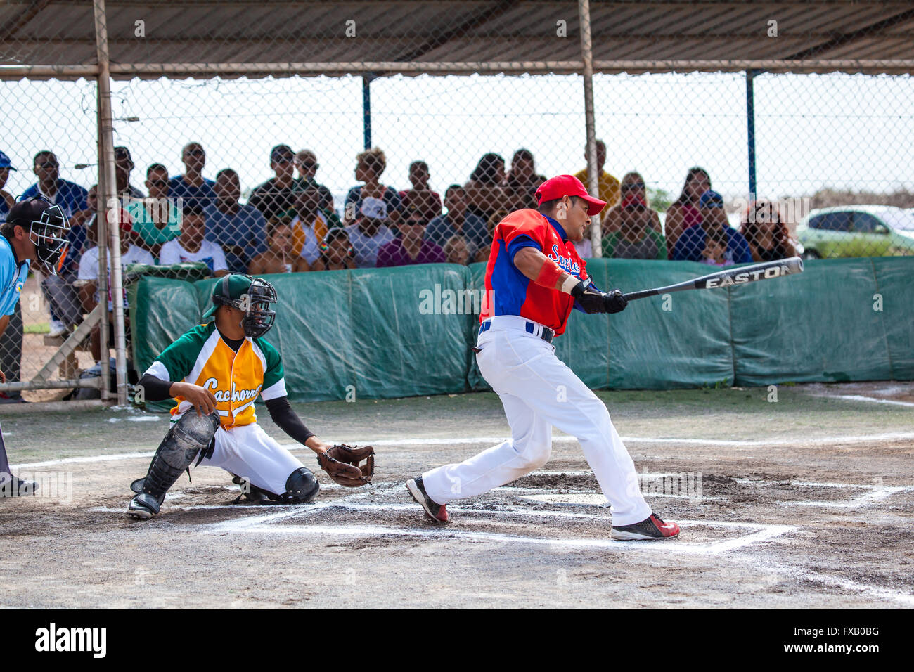 male versus male softball match Stock Photo - Alamy