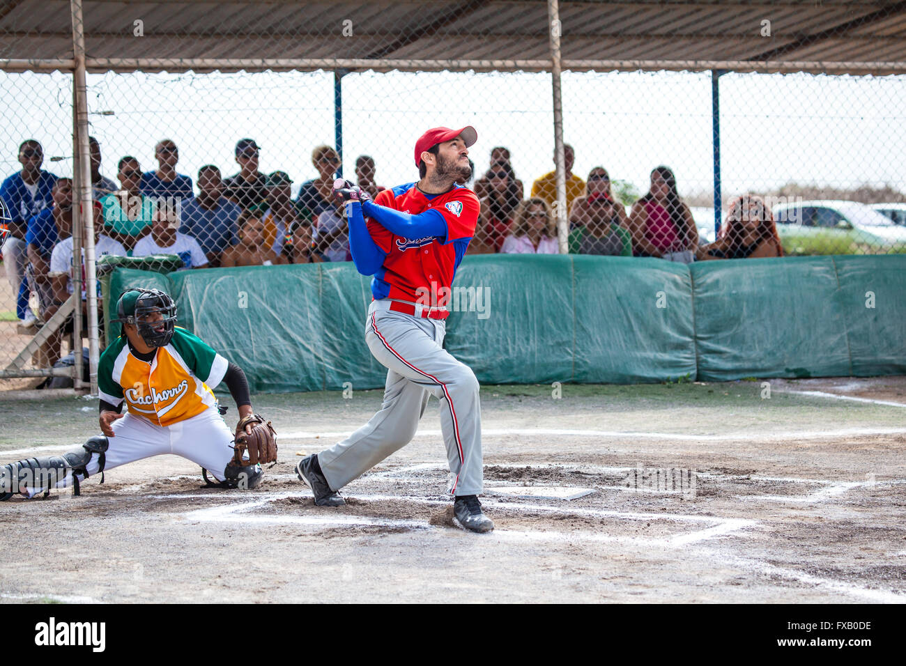 male versus male softball match Stock Photo - Alamy