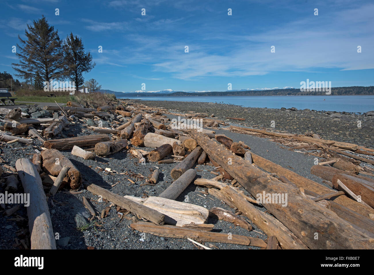 Timber flotsam by Big Rock, South of the 50th parallel @ Campbell River ...