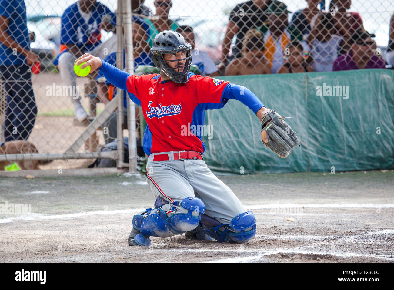 male versus male softball match Stock Photo - Alamy