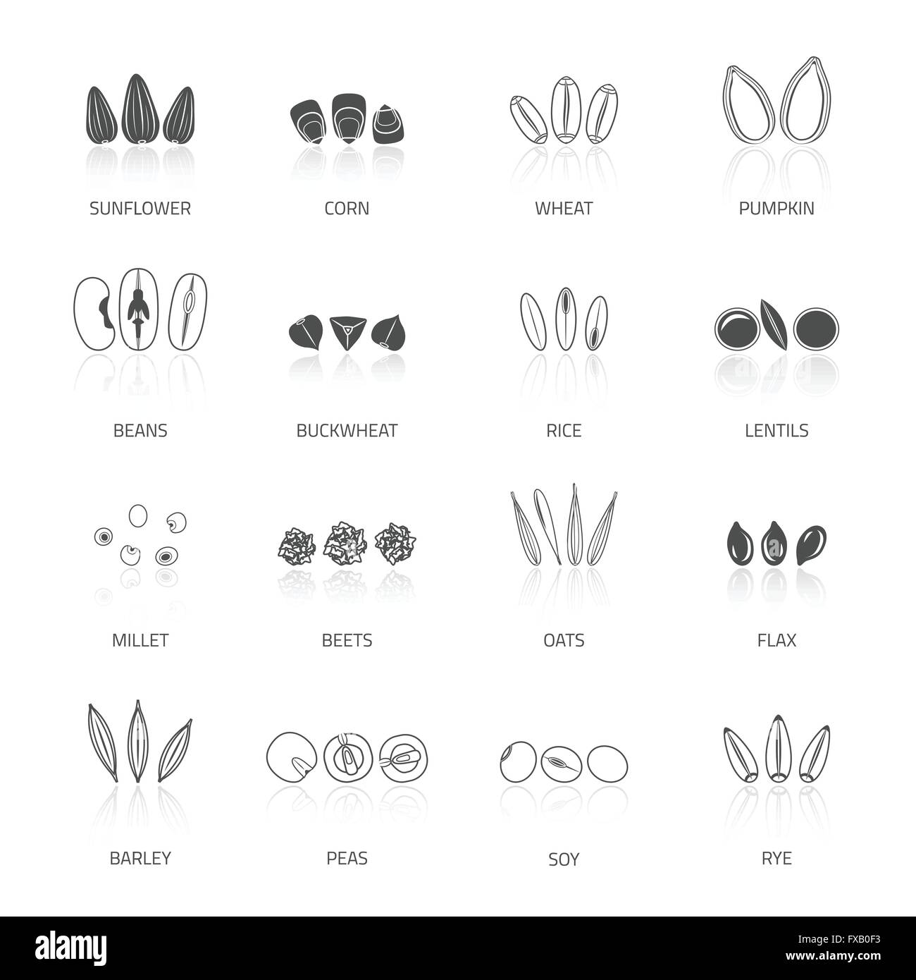 Seed Icon Set Stock Vector Image & Art - Alamy