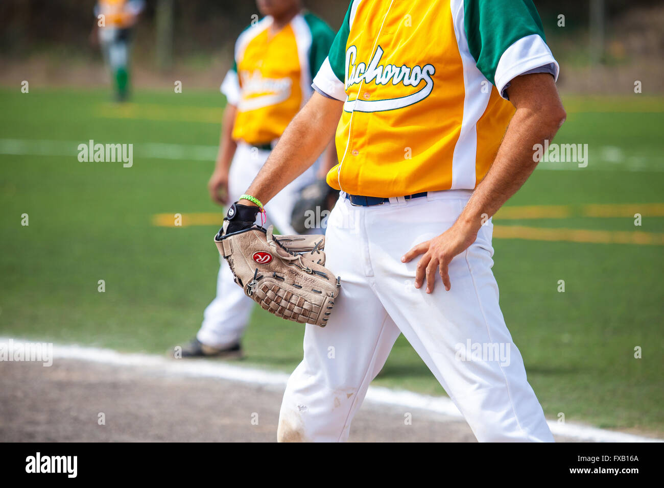 male versus male softball match Stock Photo - Alamy
