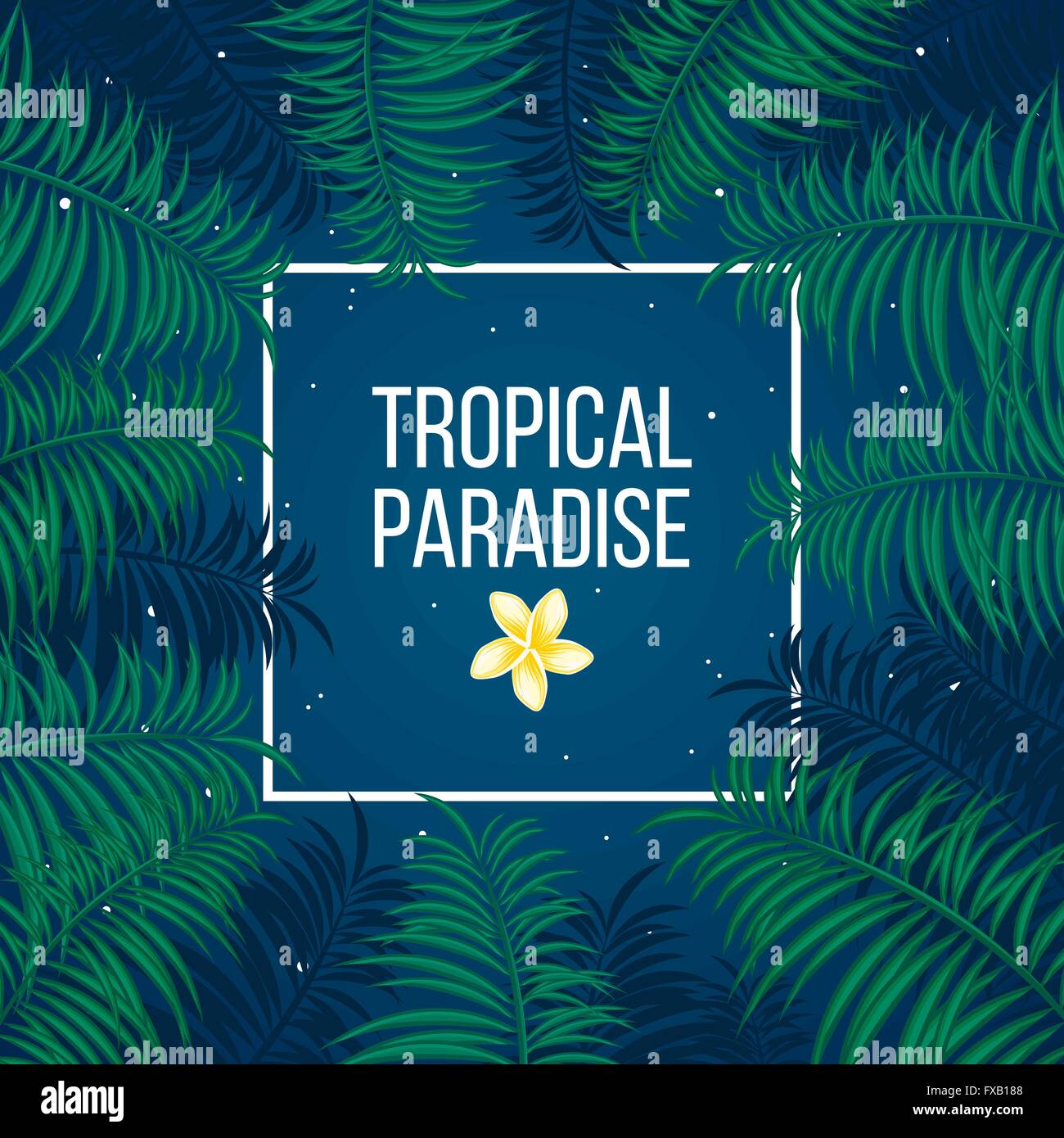 Tropical starry night paradise background template Stock Vector Image ...