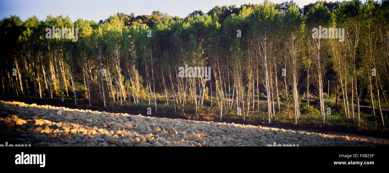 Panoramic landscape at Ghizzano in the Alta Valdera parkland in Pisa ...