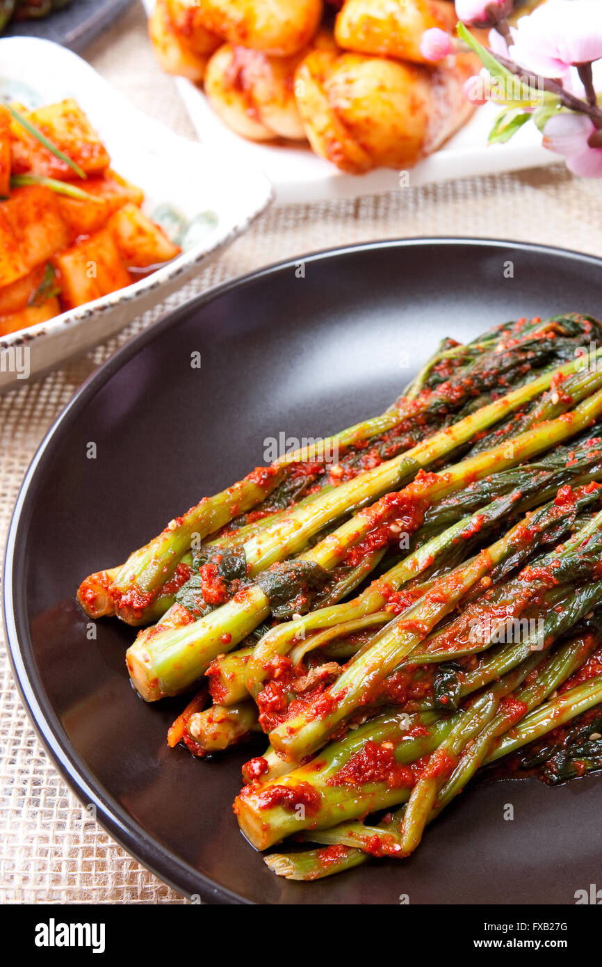 Kkakdugi kimchi hi-res stock photography and images - Alamy