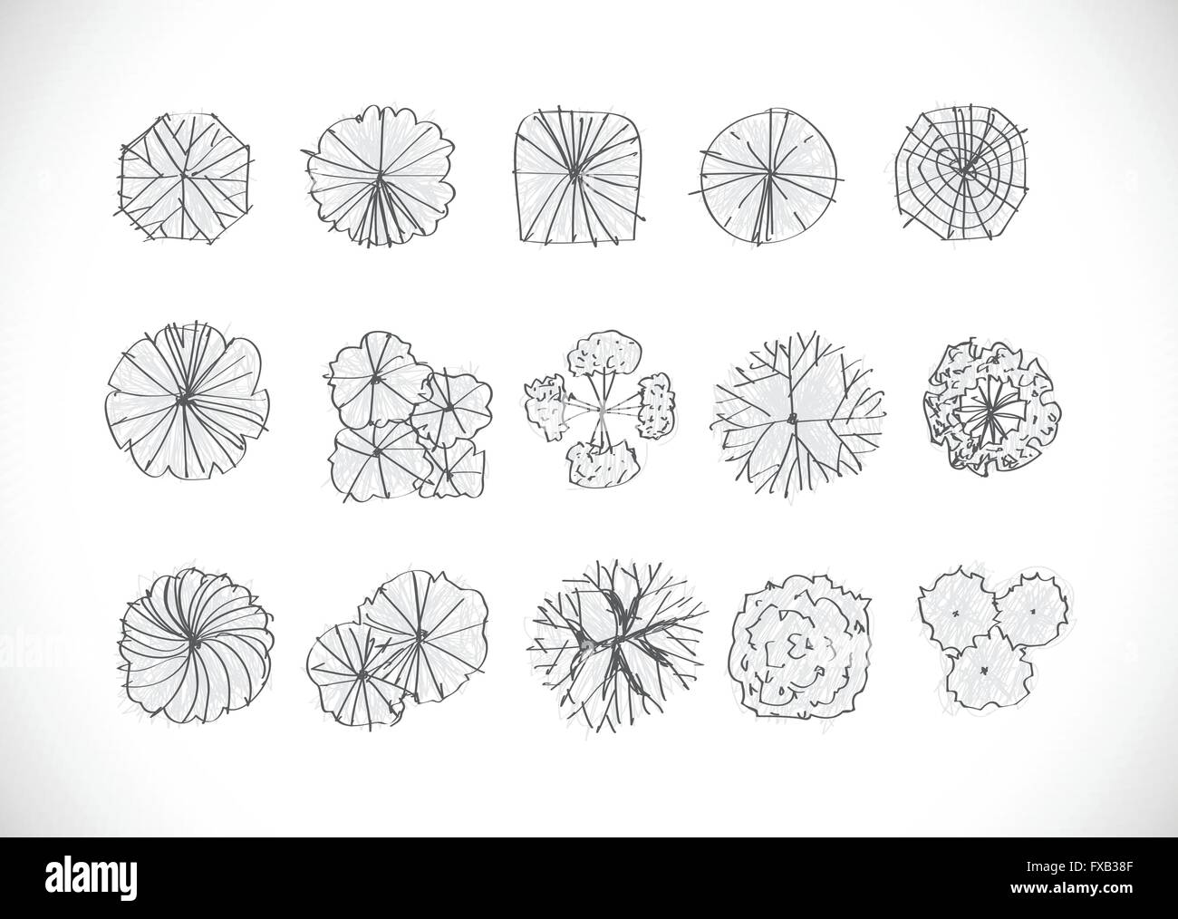 Trees top view for architecture landscape design projects Stock Vector ...