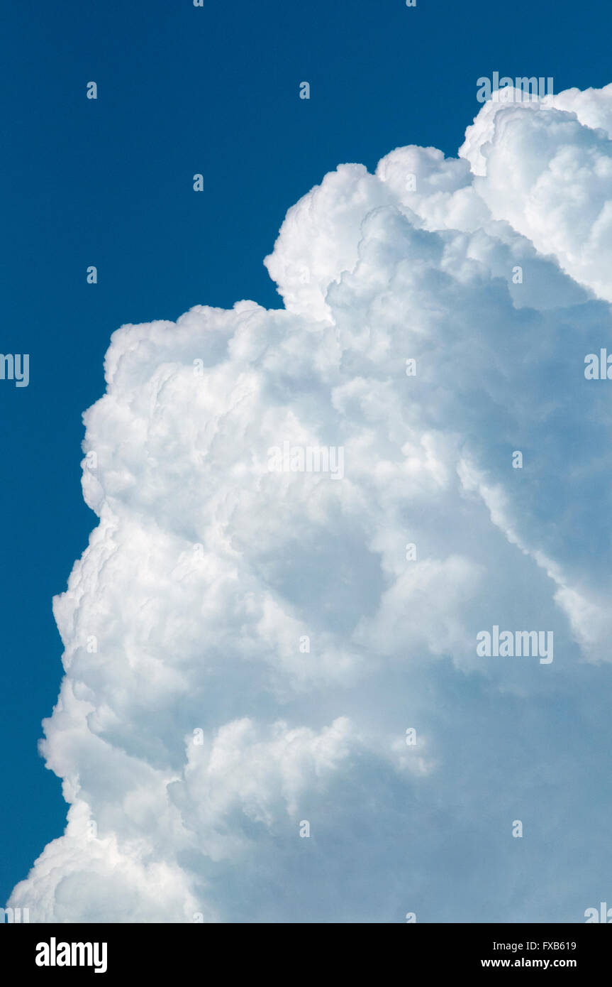 Weather cumulus vertical hi-res stock photography and images - Alamy