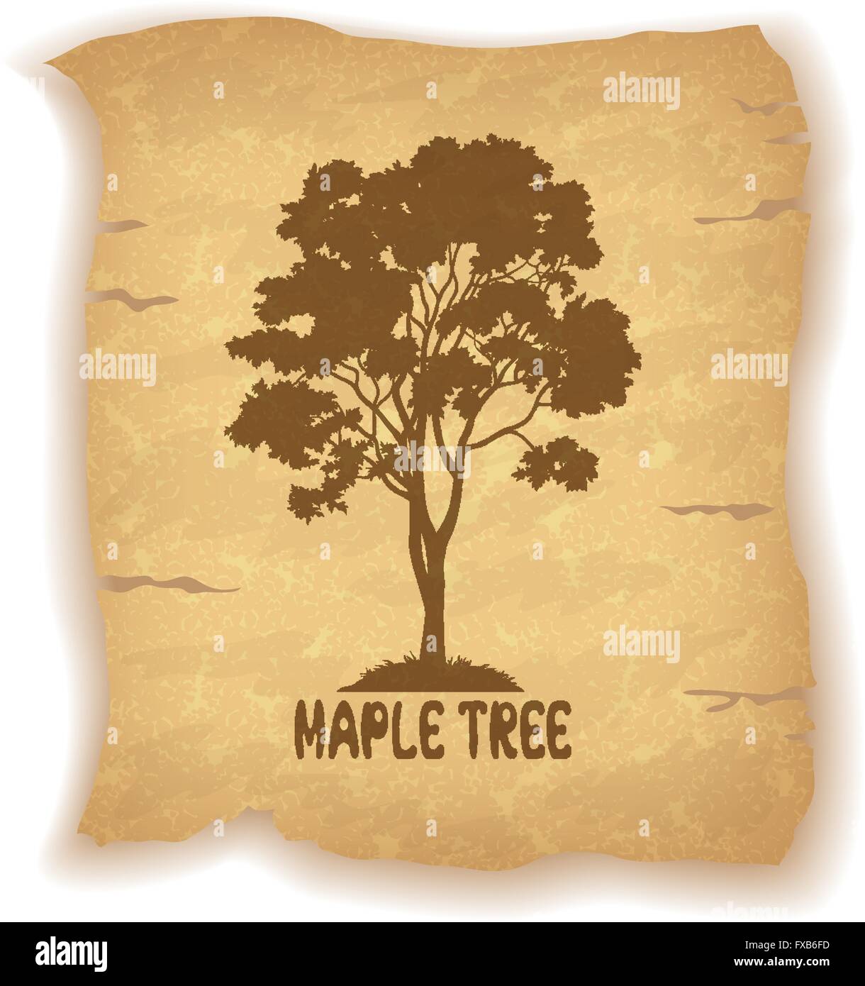 Maple tree leaf book Stock Vector Images - Alamy