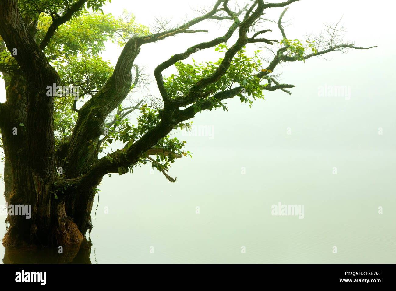 Landscape B Vol.1 Stock Photo - Alamy