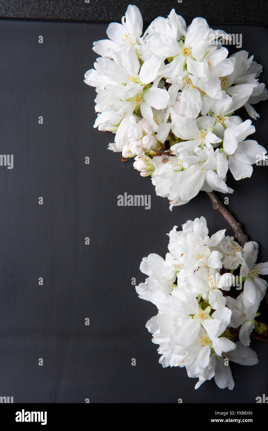 Spring & Green Stock Photo - Alamy