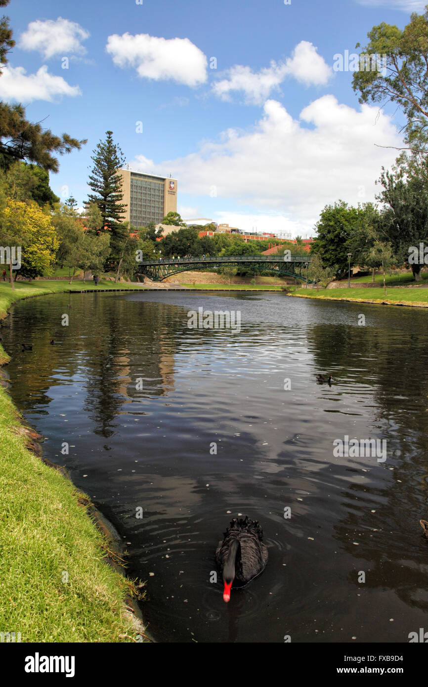 Adelaide river hi-res stock photography and images - Alamy