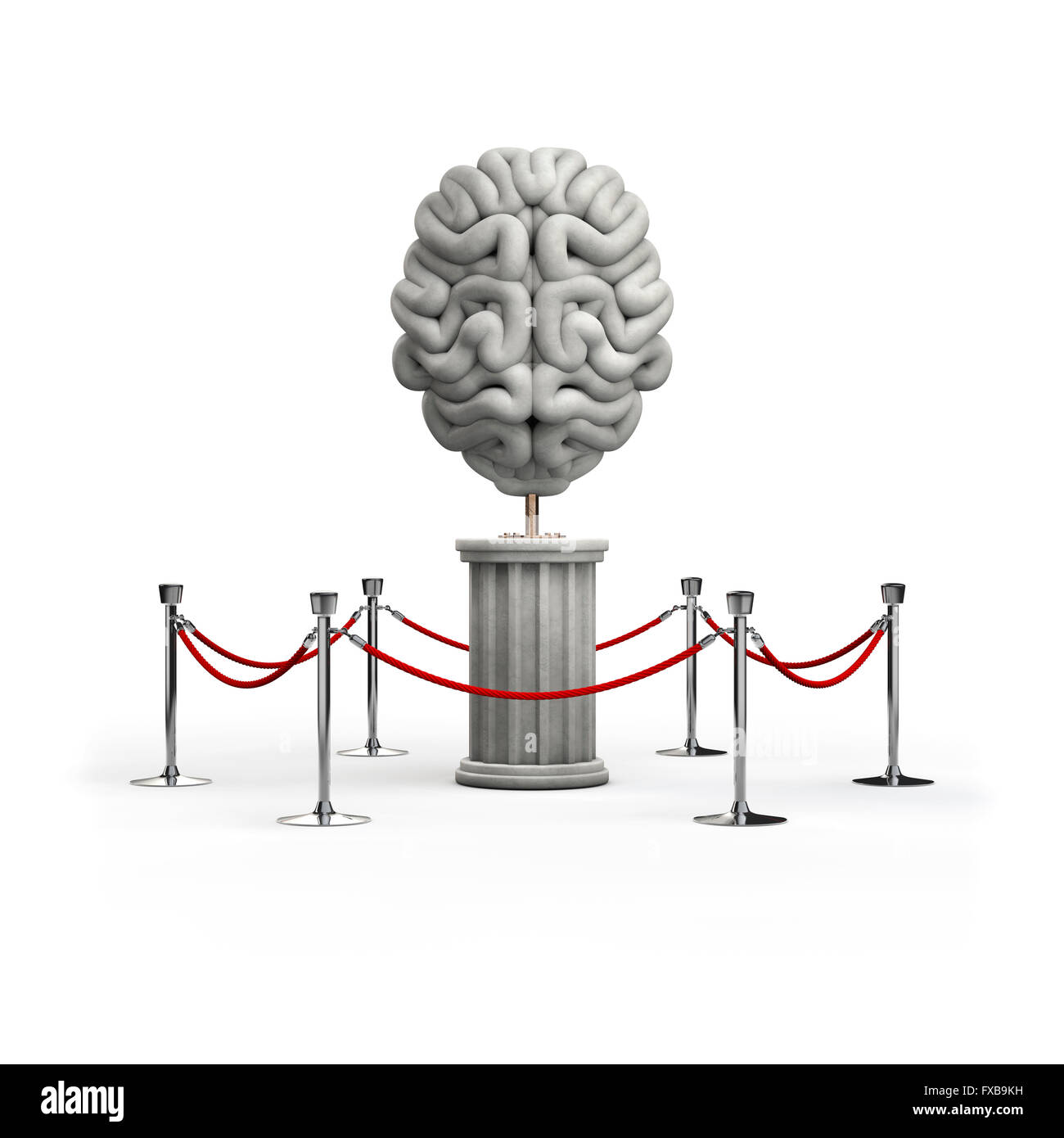Rope brain hi-res stock photography and images - Alamy