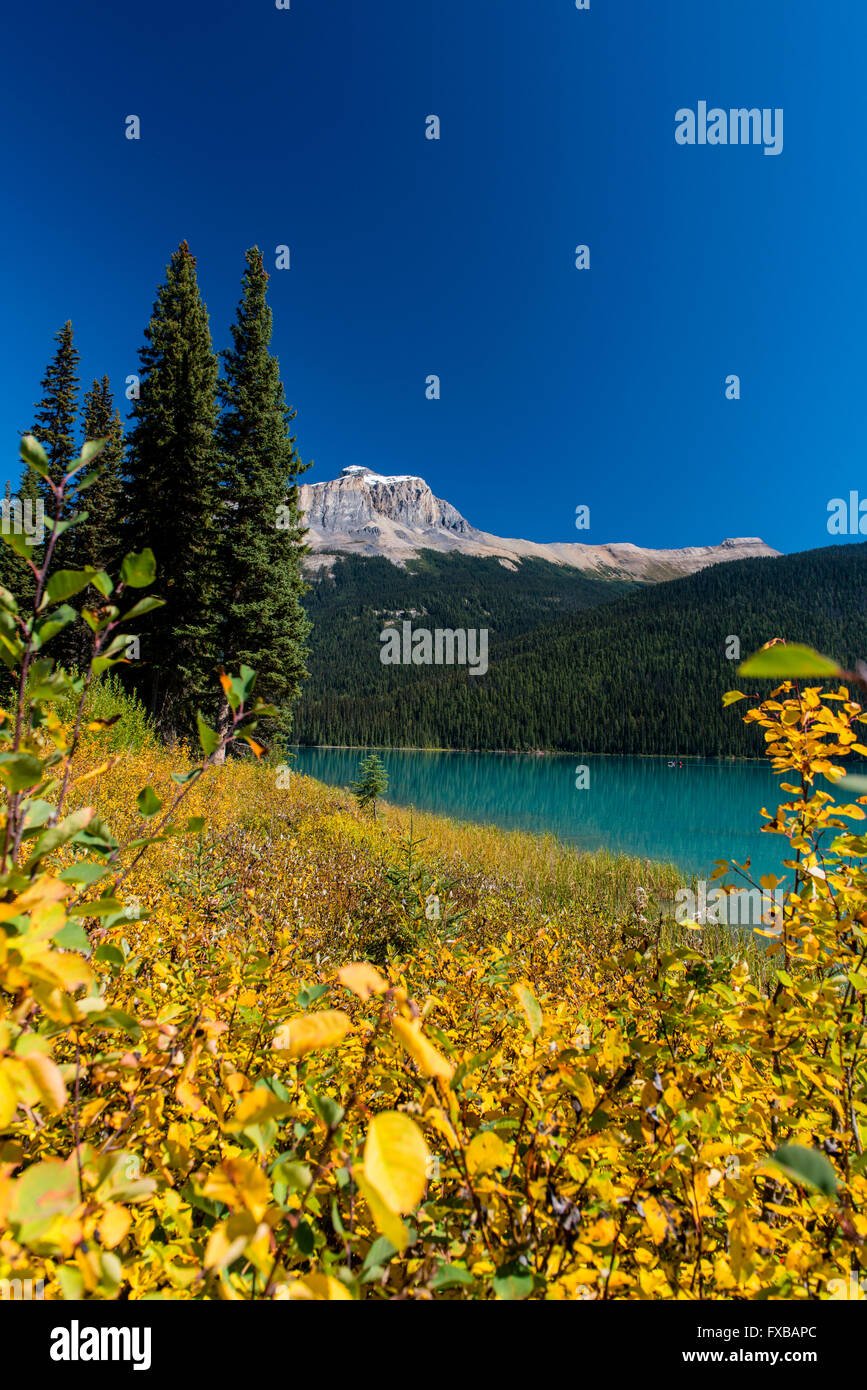 Emerald Lake, Yoho National Park, Canadian Rockies, British Columbia ...