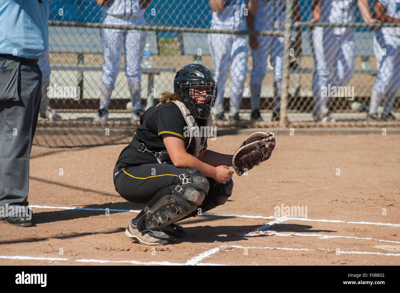 Softball catcher in black uniform looking for the sign Stock Photo - Alamy