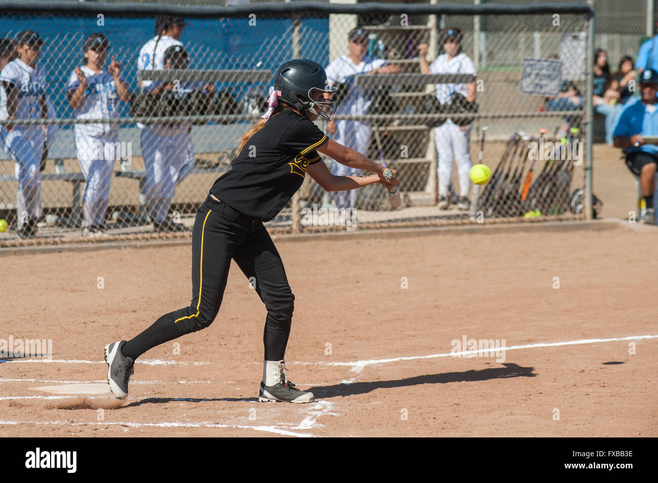 Softball player in black uniform with eye on pitched ball Stock Photo ...