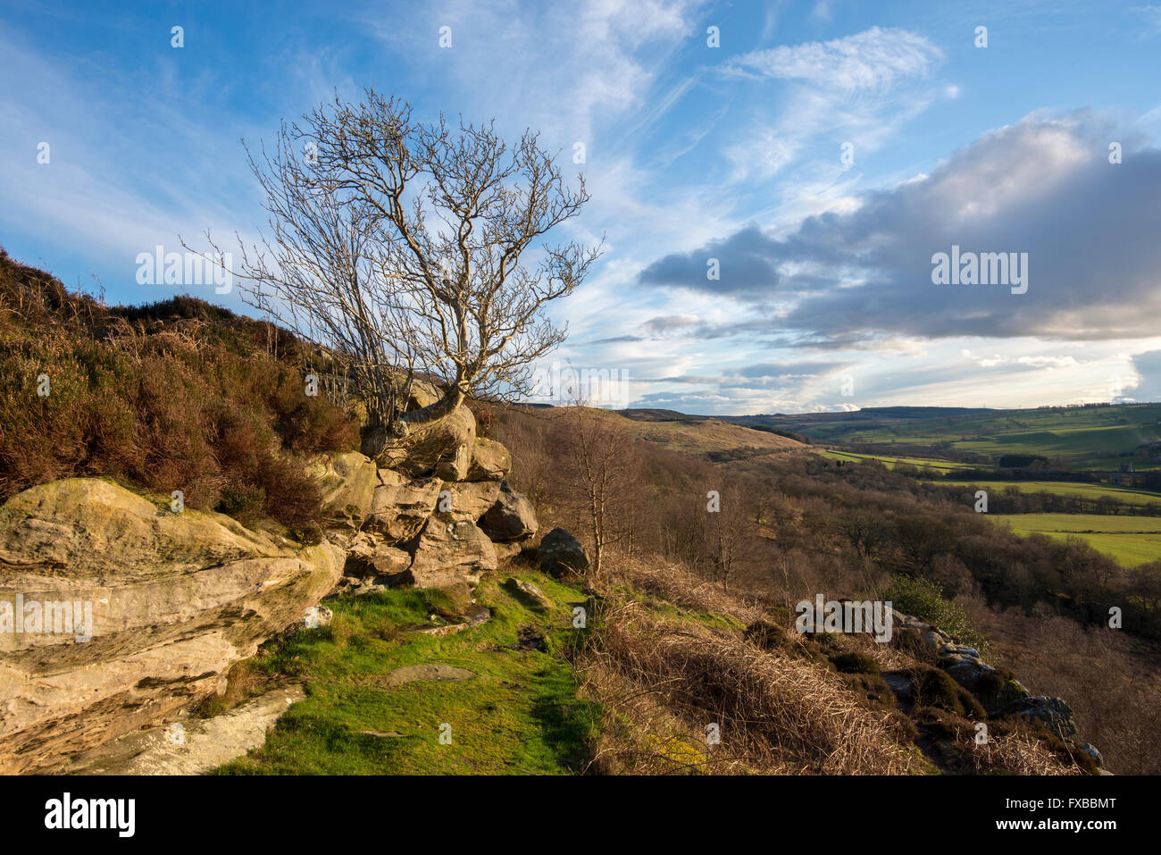 Edlingham crags hi-res stock photography and images - Alamy