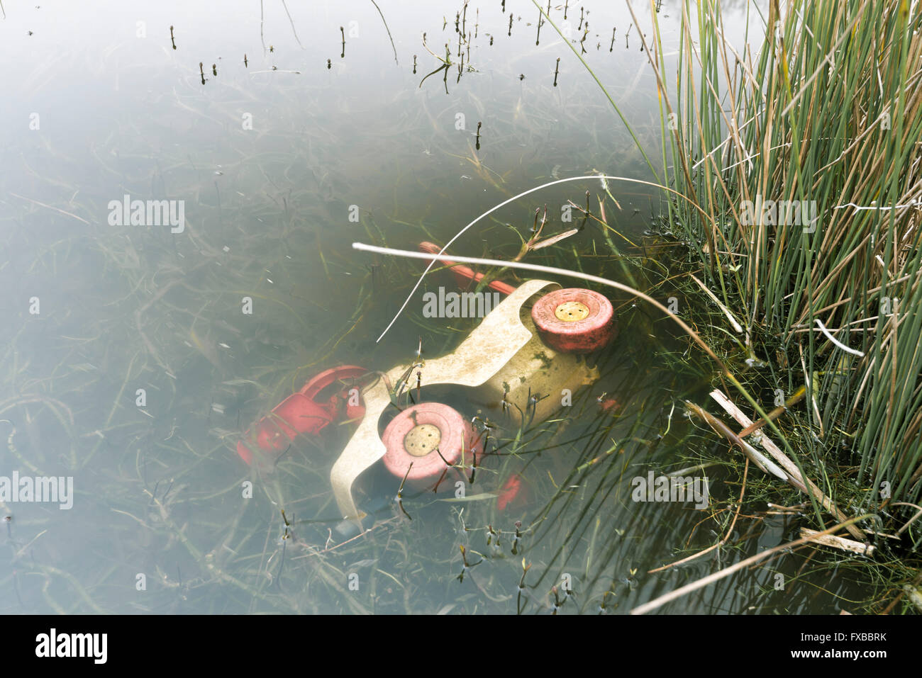 Old pond yellow water hi-res stock photography and images - Alamy