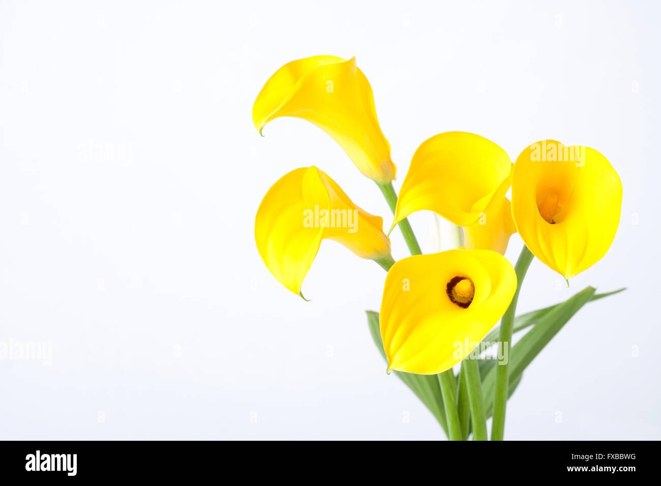 Concept Photo vol.3 Stock Photo - Alamy