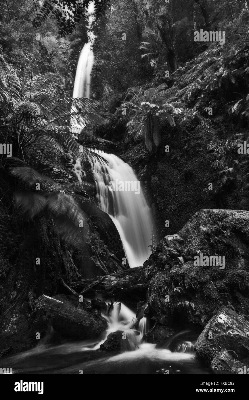 Dropping water Black and White Stock Photos & Images - Alamy