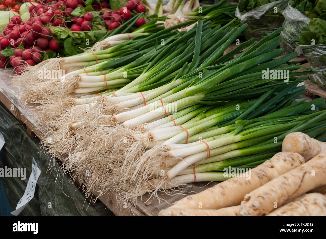 Fresh spring onions (allium Stock Photo - Alamy