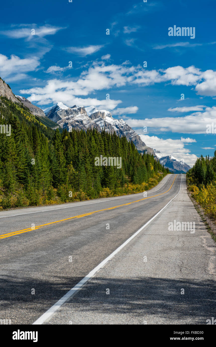 Highway Icefields Parkway, Highway 93, Canadian Rockies, Alberta ...