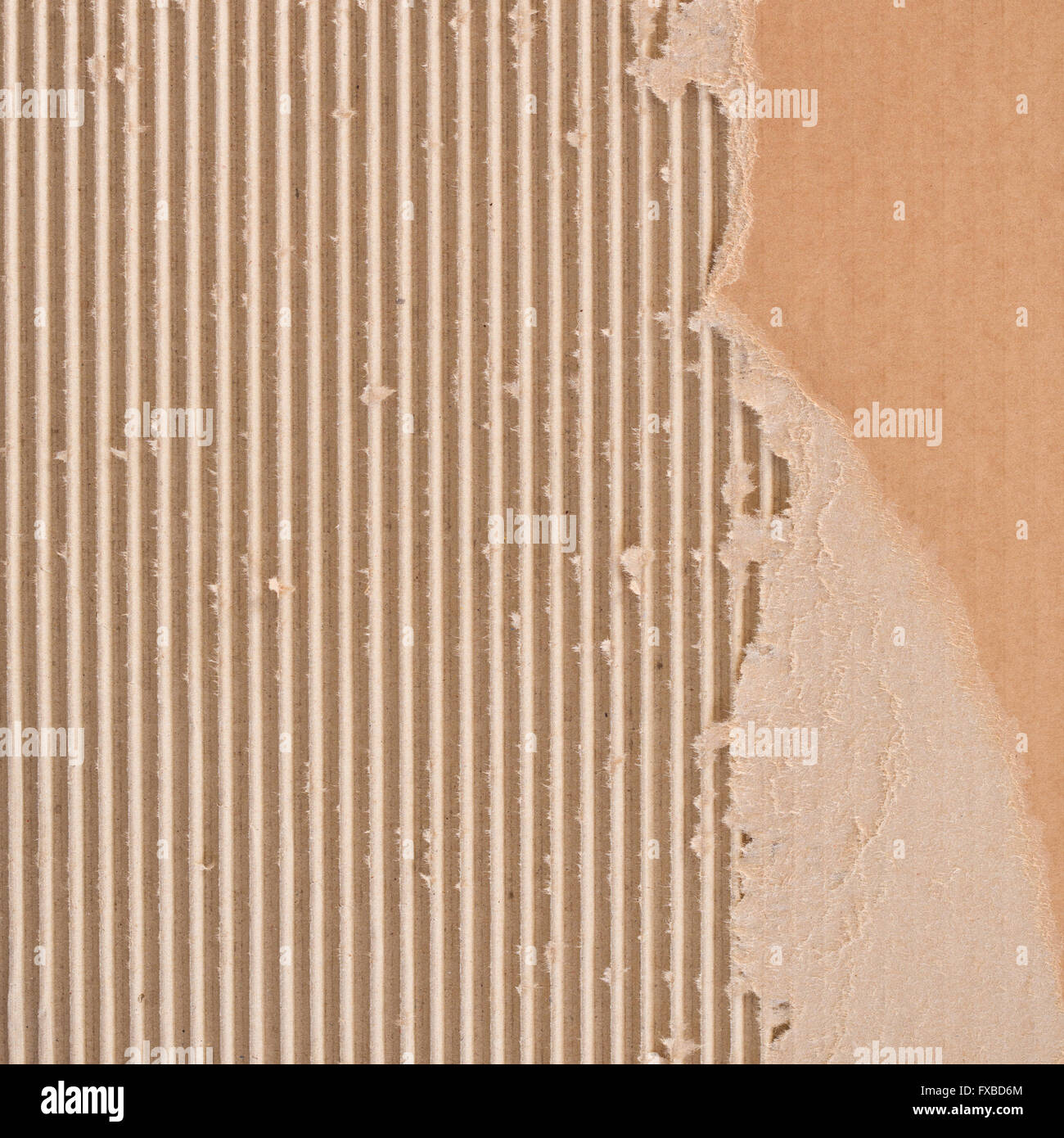 Cardboard torn edge piece hi-res stock photography and images - Alamy