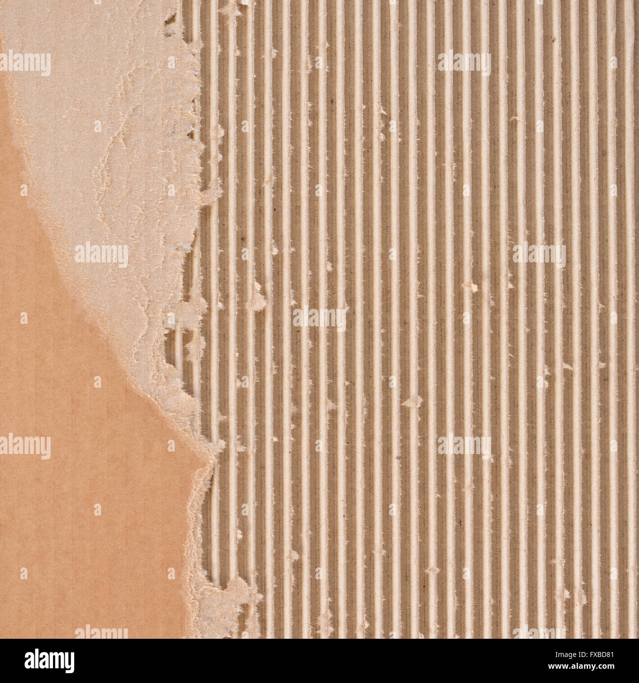 Torn corrugated cardboard Stock Photo - Alamy