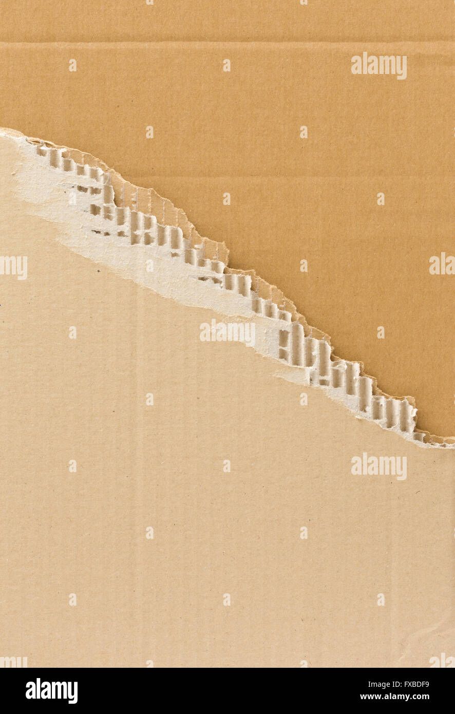 Torn box hi-res stock photography and images - Alamy