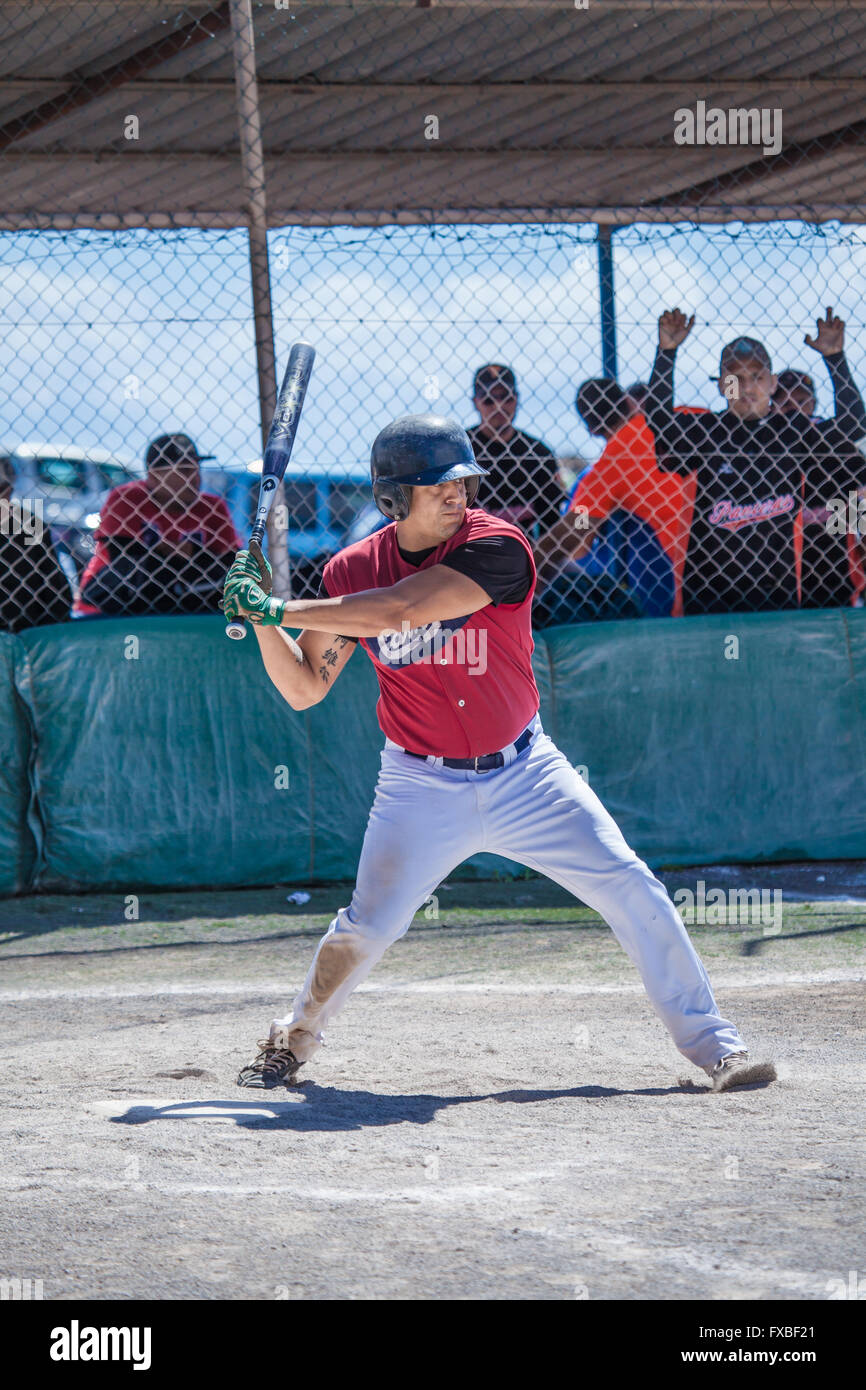 male versus male softball match Stock Photo - Alamy