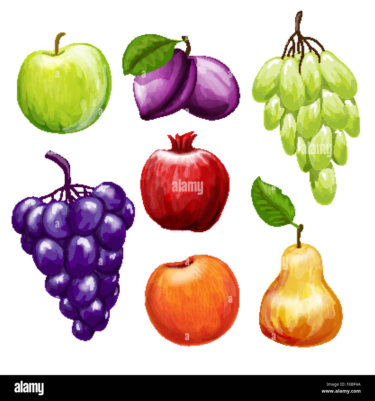 Tropical fruits fresh juice Stock Vector Images - Alamy