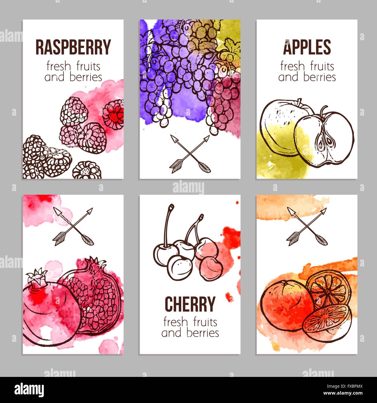 Pomegranate on fruit market Stock Vector Images - Alamy