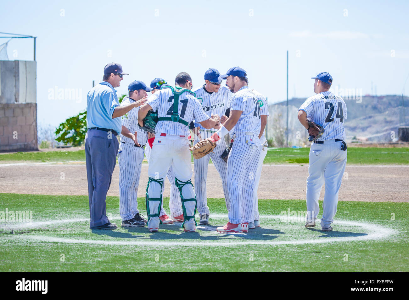 male versus male softball match Stock Photo - Alamy