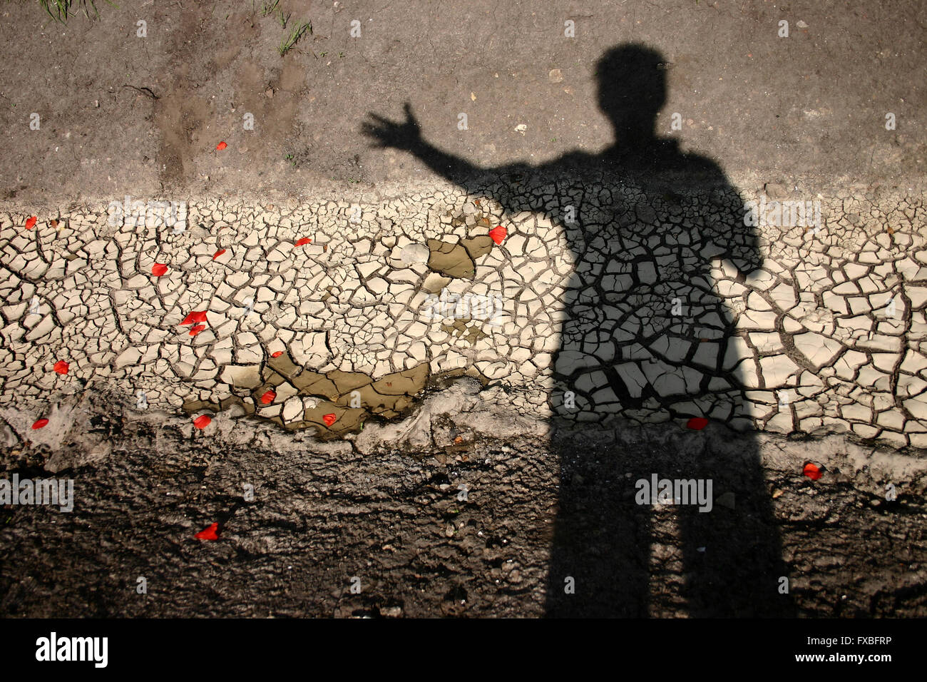 silhouette of man throwing flower petals Stock Photo - Alamy